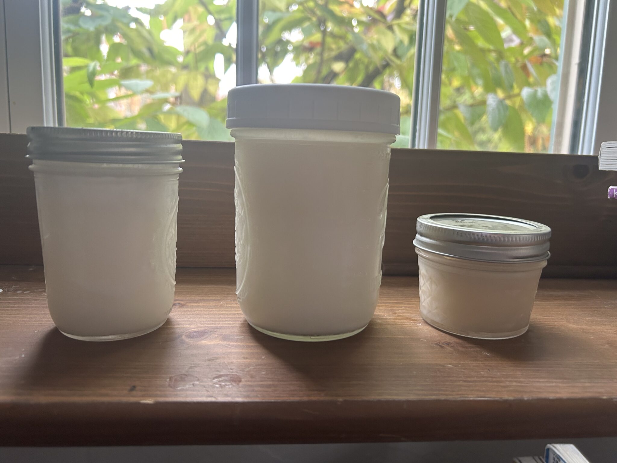 How to Render Lard: Slow Cooker Method - JAYNE'S FARMSTEAD