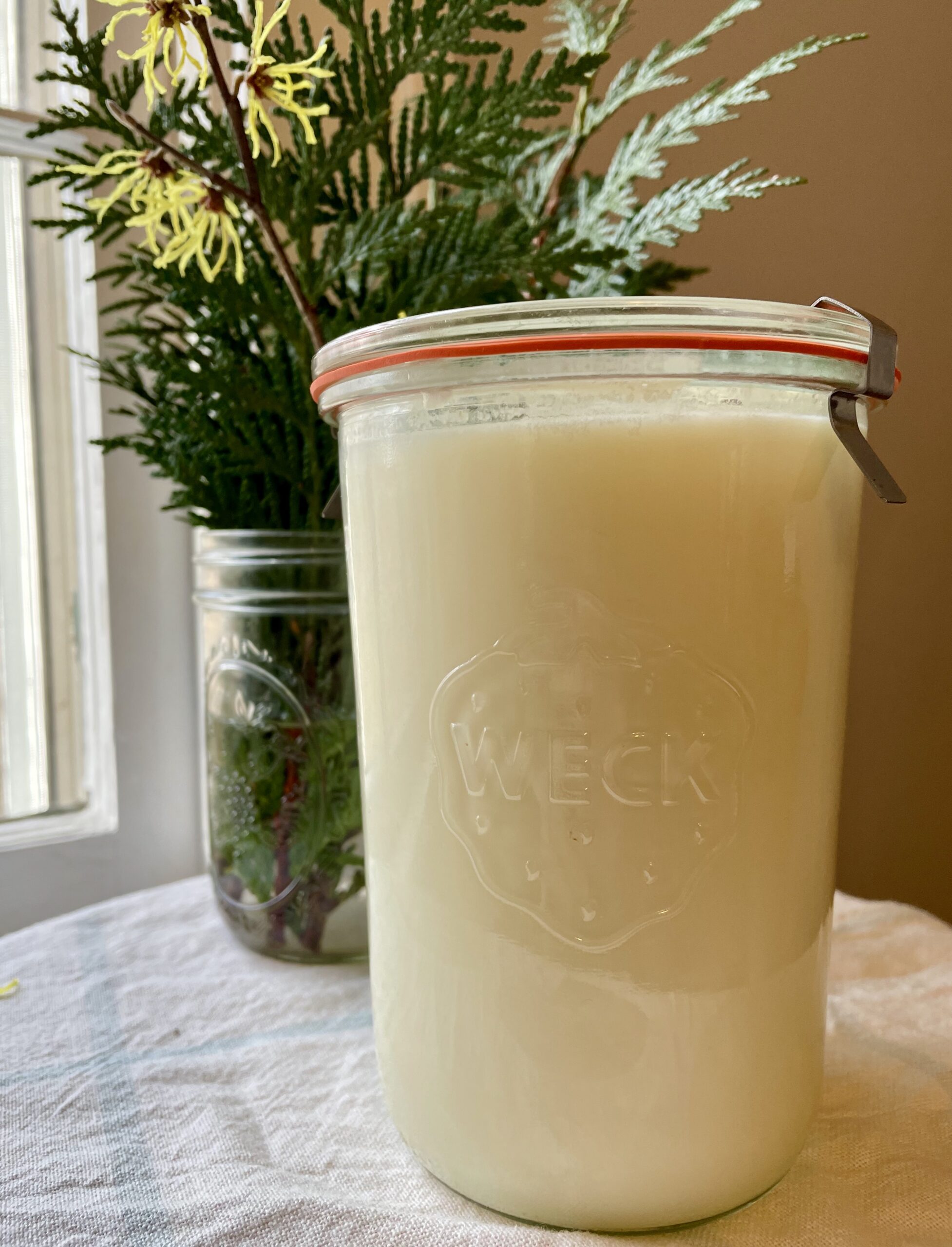 How to Make Nutritious Beef Tallow - JAYNE'S FARMSTEAD