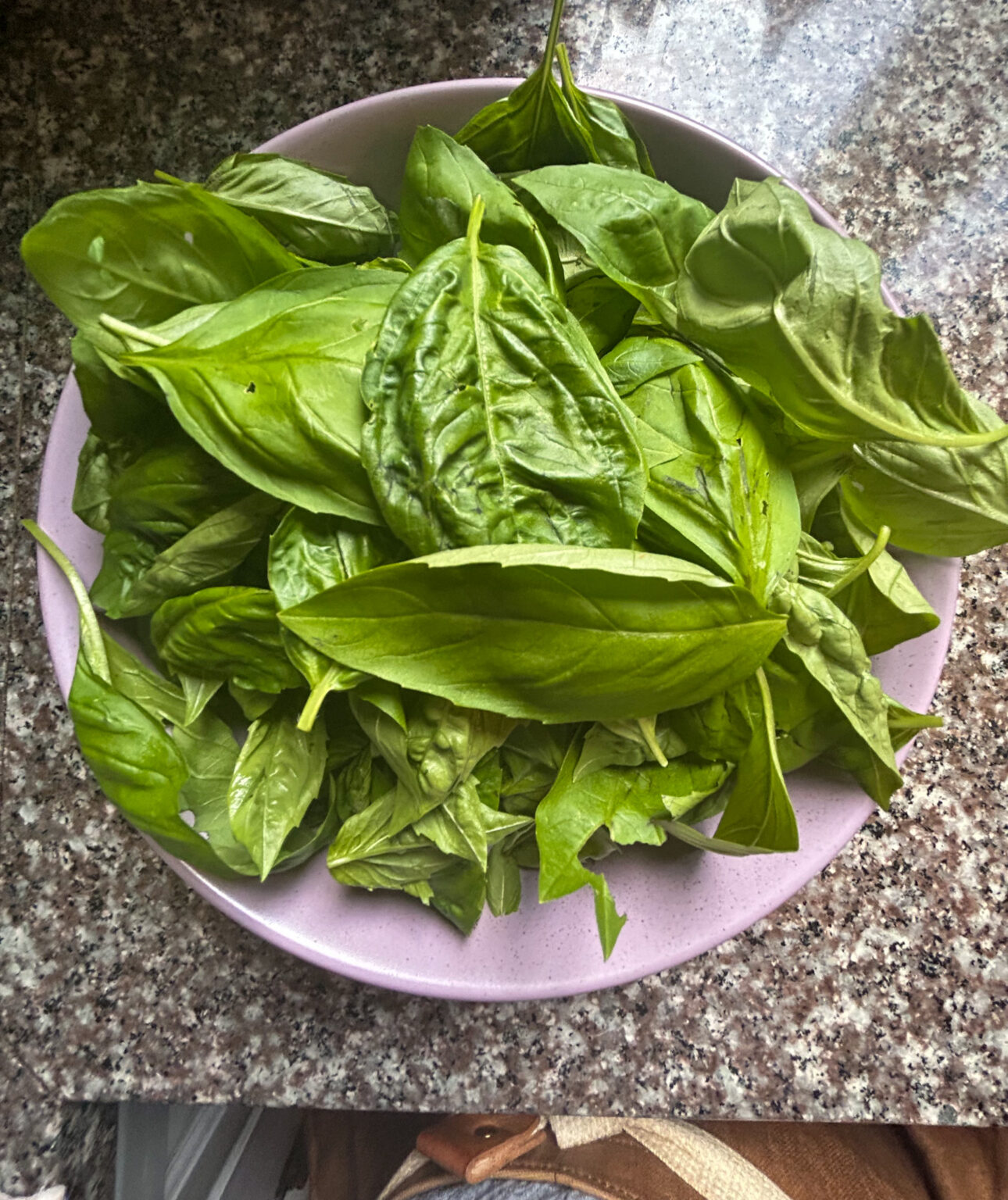 How to Preserve Basil in Olive Oil - JAYNE'S FARMSTEAD